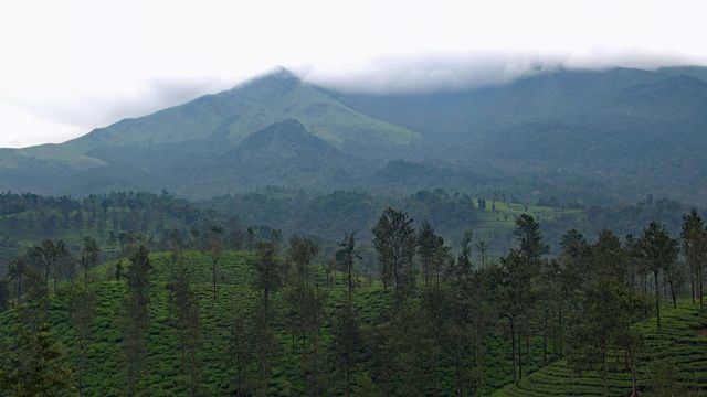 Deforestation Raises Cloud Level and Increases Local Temperatures ... Deforestation Raises Cloud Level and Increases Local Temperatures ...
