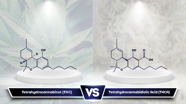 THCA vs THC: What Are the Differences? | Technology Networks