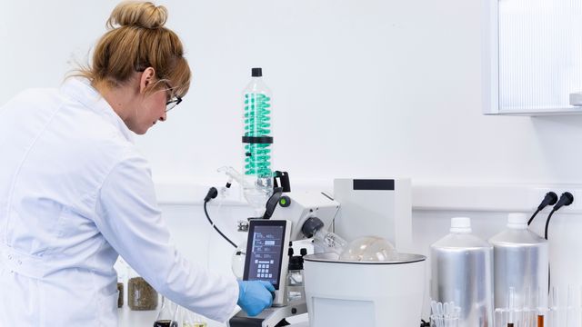 Temperature Control in Cannabis Extraction and Distillation ...