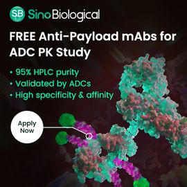 [NEW] Anti-Payload Antibodies: Powerful Weapons for ADC PK Study ...