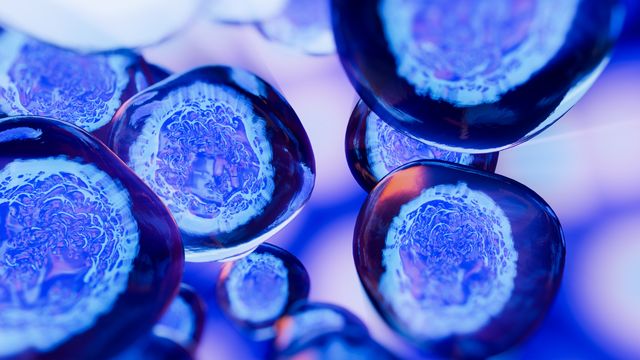 AI Tool Creates Detailed Models of Cellular Metabolism | Technology ...