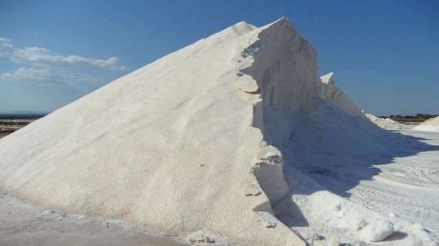 How the Mediterranean Salt Giant Reshaped Marine Biodiversity ...