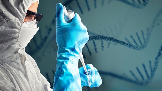 Rna Sequencing Rna Seq Flexible And Bespoke End To End Solutions