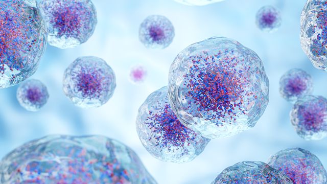 AI and Zombie Cells May Help Predict Breast Cancer Risk | Technology ...