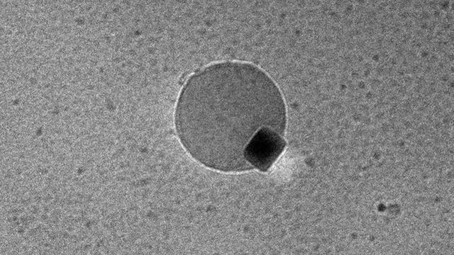 Researchers Watch Water Form at the Molecular Scale for the First Time ...