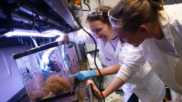 A Holistic Approach To Investigate Climate Change and Marine ...