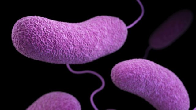 Chemical Switches Used To Activate Antibiotics Directly at the Pathogen ...