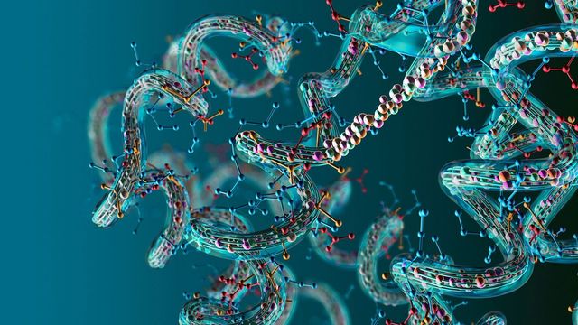 Intact-Level PTM Identification and Charge Variant Analysis ...