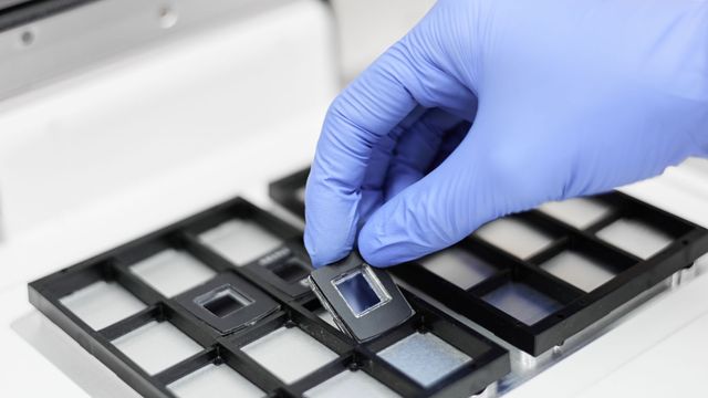 Digital PCR: Precision, Sensitivity, and Key Applications | Technology ...