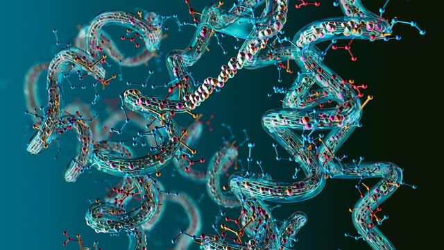 Map Links Mutations to Protein Mislocalization in Cells | Technology ...