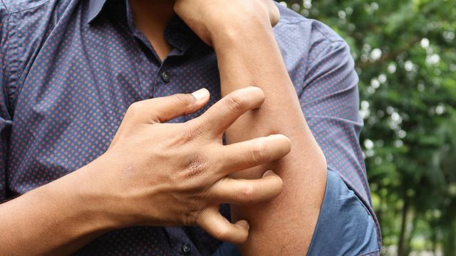 How Parasitic Worms Evade the Body's Itch Defense Mechanism ...