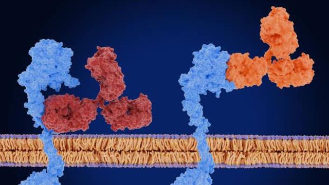 Monitor Protein Therapeutic Color Changes With LC-MS | Technology Networks