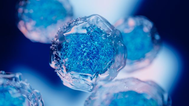 New Method Shows Immune Cell Receptor Response to Infection ...