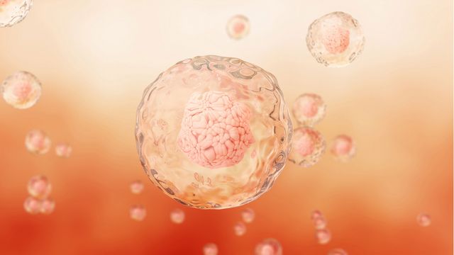 How Did the First Cell Membranes Come To Exist? | Technology Networks