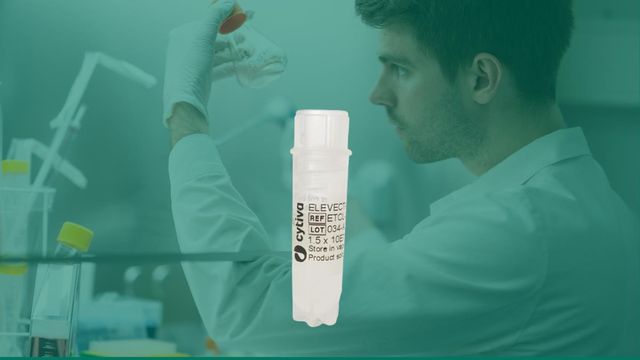 ELEVECTA™ producer cell line: For stable, inducible AAV | Technology ...