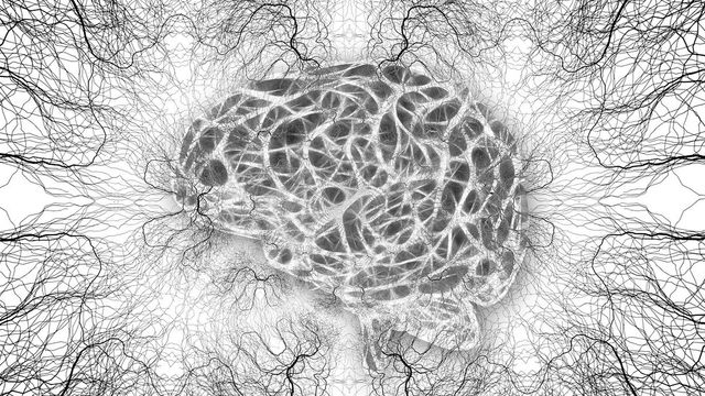 Three New Subtypes of Common Brain Disorder Identified | Technology ...