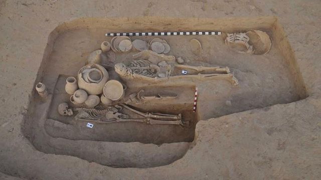 Ancient DNA Sheds Light on Adaptation in Early Europeans | Technology ...