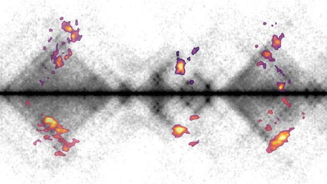 How Do Cells Repair Damaged DNA? | Technology Networks