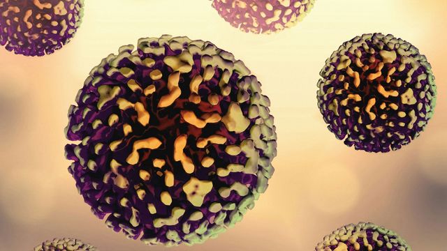 Hepatitis A Virus Exploits Protein to Infect Liver Cells | Technology ...