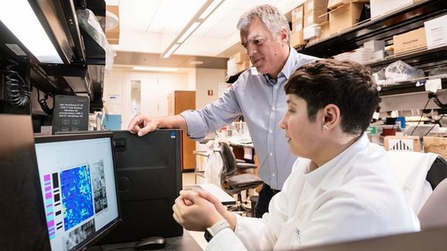 Revolutionizing Alzheimer's Detection: Machine Learning Uncovers Early ... Revolutionizing Alzheimer's Detection: Machine Learning Uncovers Early ...