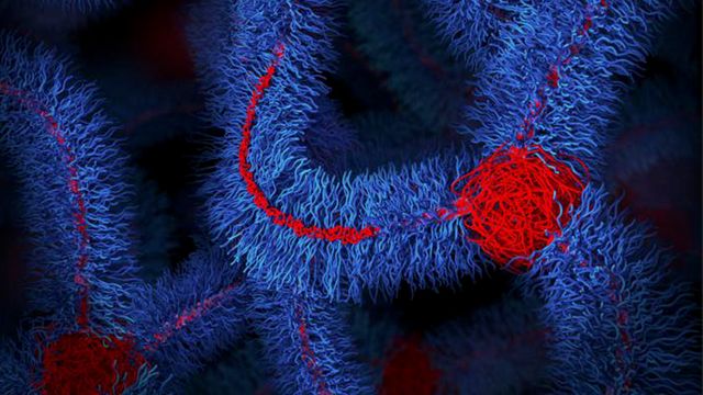 New Polymer Combines Flexibility and Strength | Technology Networks