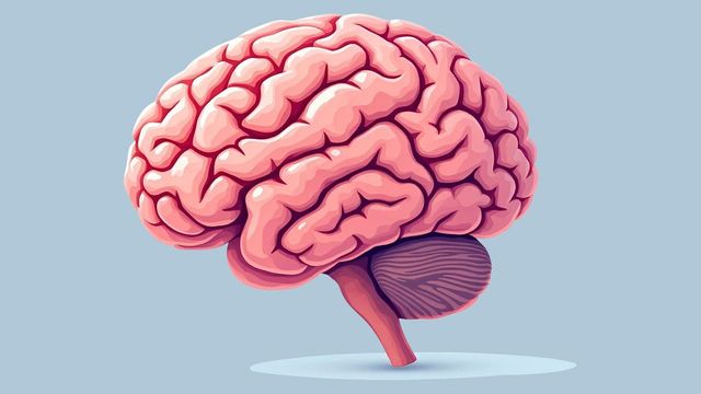 Sex Differences In Cv Risk And Brain Degeneration Technology Networks