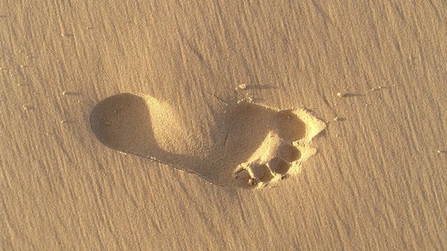 Footprints in Time: Unearthing a 1.5-Million-Year-Old Tale | Technology ...