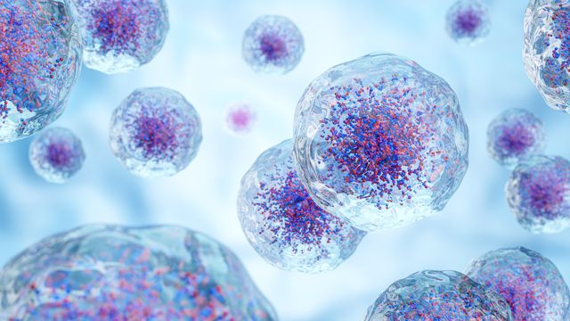 New Drug Enhances Muscle Repair in Duchenne Patients | Technology Networks