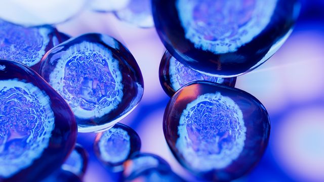 How CAR T Cells Kill Cancer: Sprint vs. Marathon Strategies ...