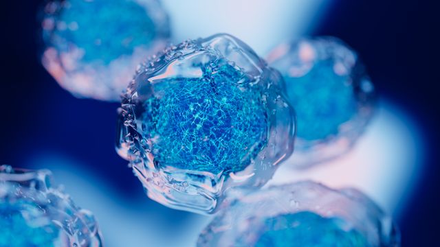 DNA-Nanoparticle Motors Achieve Protein-Like Speed | Technology Networks