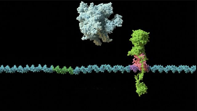 Researchers Help Unravel Antibiotic-Resistance Mystery | Technology ... Researchers Help Unravel Antibiotic-Resistance Mystery | Technology ...