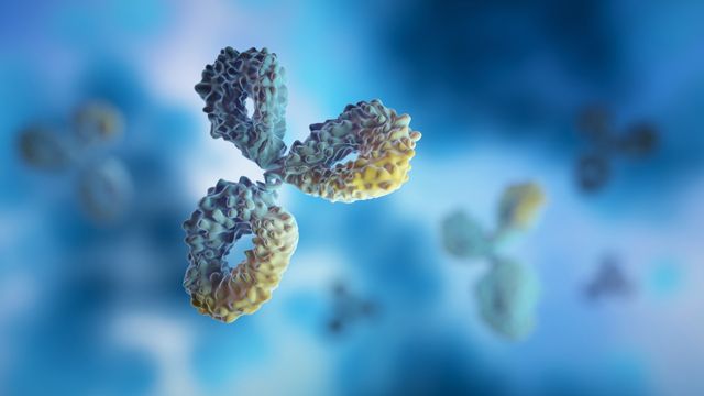 Free Drug Analysis in ADCs Using 2D-LC/Q-TOF | Technology Networks