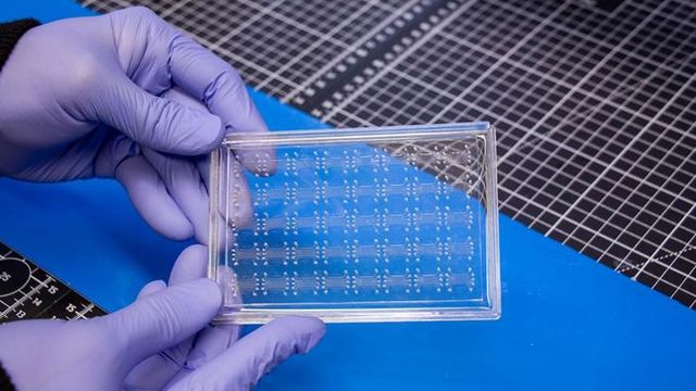 Engineered Marrow-on-a-Chip Successfully Emulates Human Bone Marrow ...
