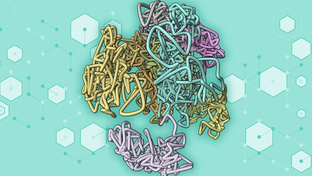 Generative AI Advances 3D Genomic Structure Predictions | Technology ...