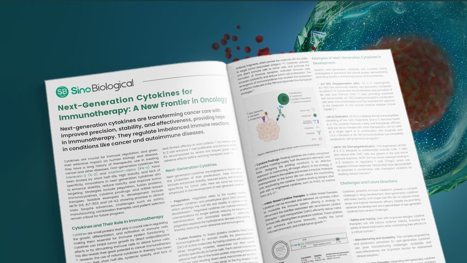 Next-Generation Cytokines for Immunotherapy: A New Frontier in Oncology ...