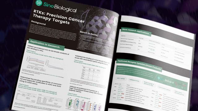 RTKs: Precision Cancer Therapy Targets | Technology Networks