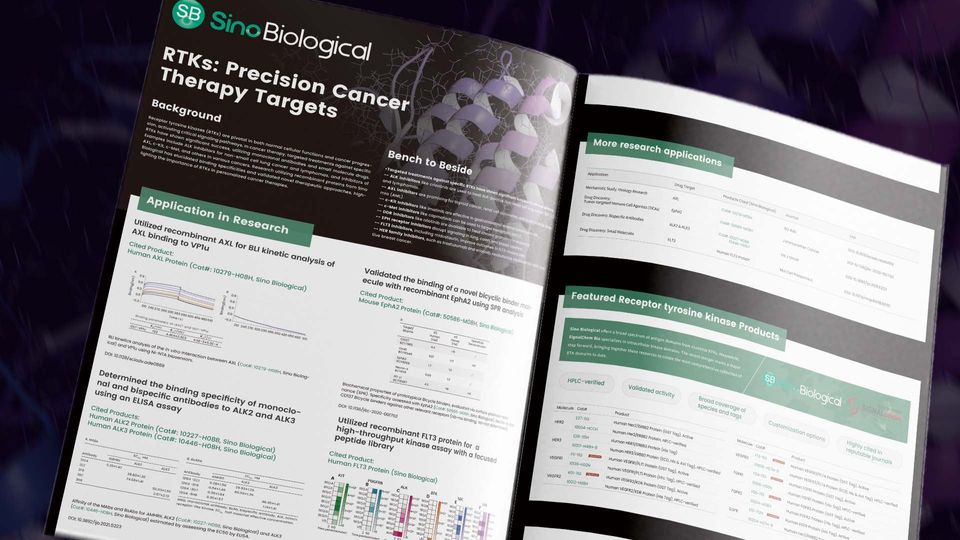 RTKs: Precision Cancer Therapy Targets | Technology Networks