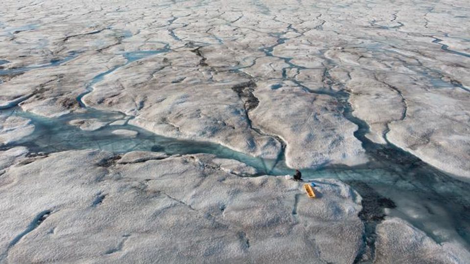 Greenland Ice Algae May Speed Up Ice Sheet Melting | Technology Networks