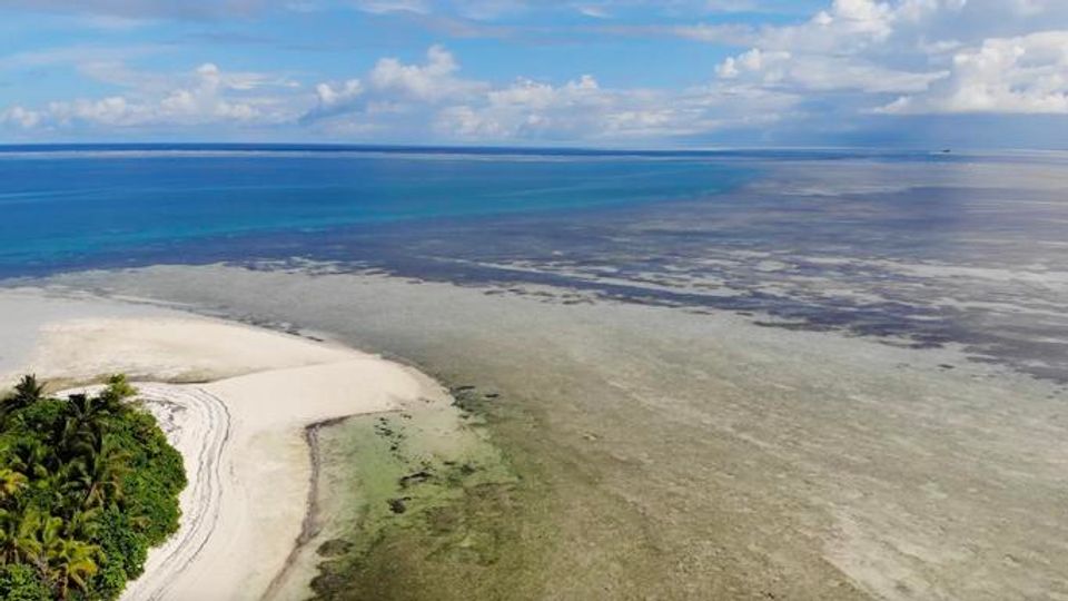 10 Strategies to Protect Tidal Flats | Technology Networks