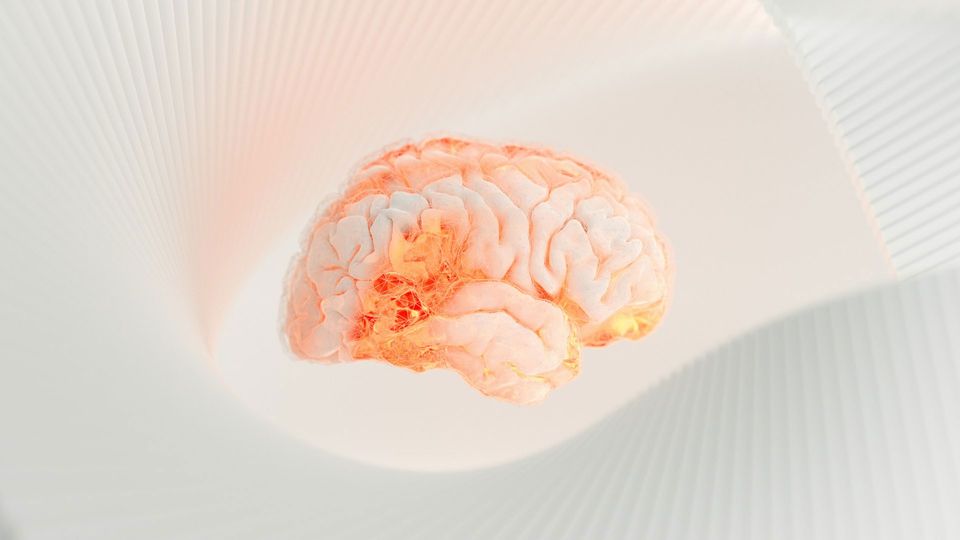 AI Tracks Brain Aging Non-Invasively | Technology Networks