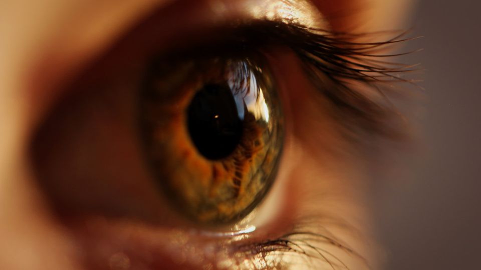 Alzheimer’s-Linked Tau Protein Found in Eye Nerve Cells | Technology ...