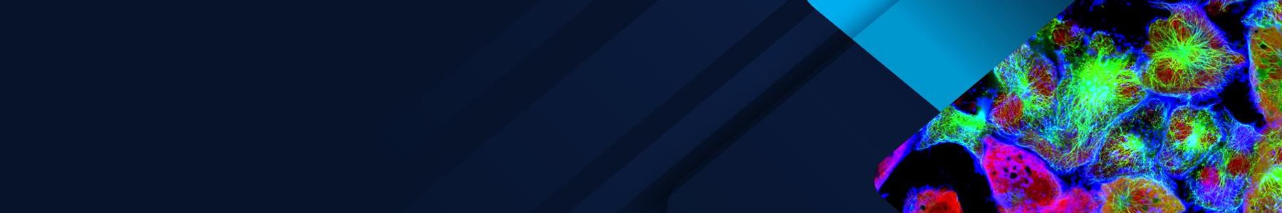 The Spatial Biology Revolution 2025 | Technology Networks