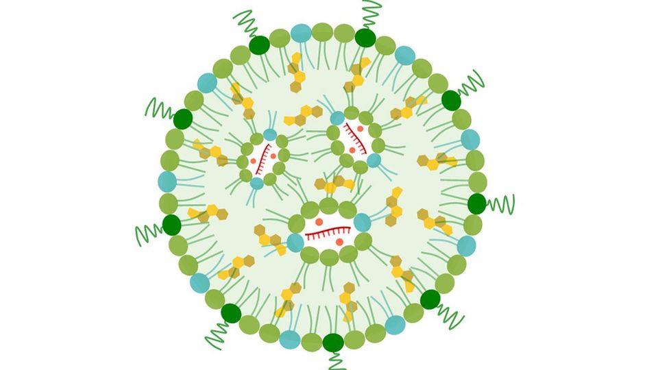 Nanoparticle Therapy Targets Pancreatic Cancer Metastases Technology