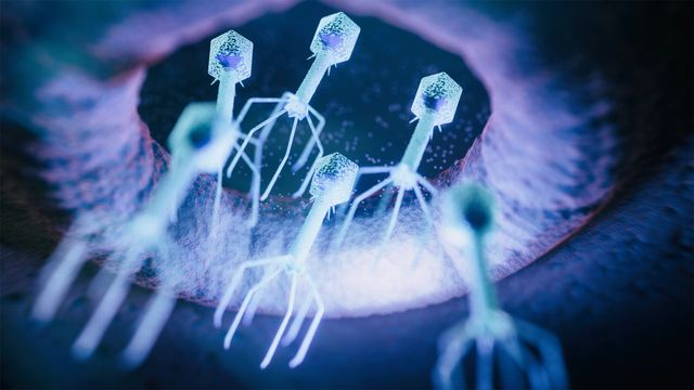 Transduction in Bacteria: Mechanisms and Scientific Uses | Technology Networks