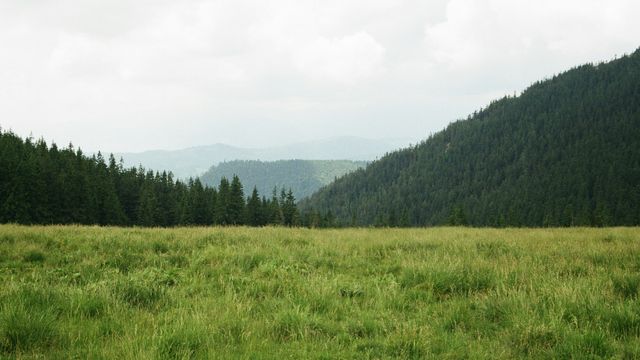 Restored Grasslands Need 75 years To Regain Biodiversity | Technology ...