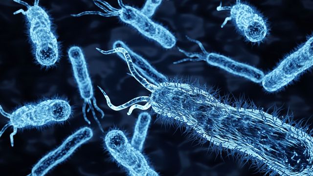 Immunology & Microbiology Science News | Page 1010 | Technology Networks