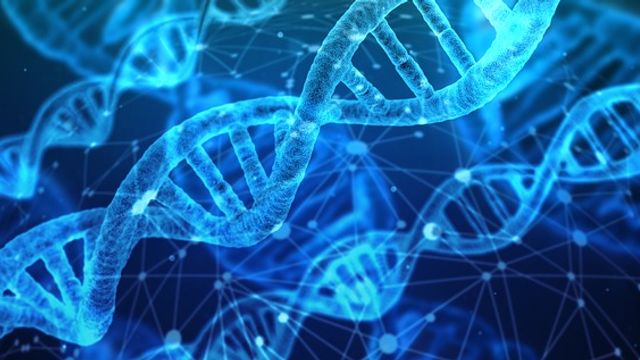 DNA Microscope Offers 3D Map of Gene Expression in Organisms ...