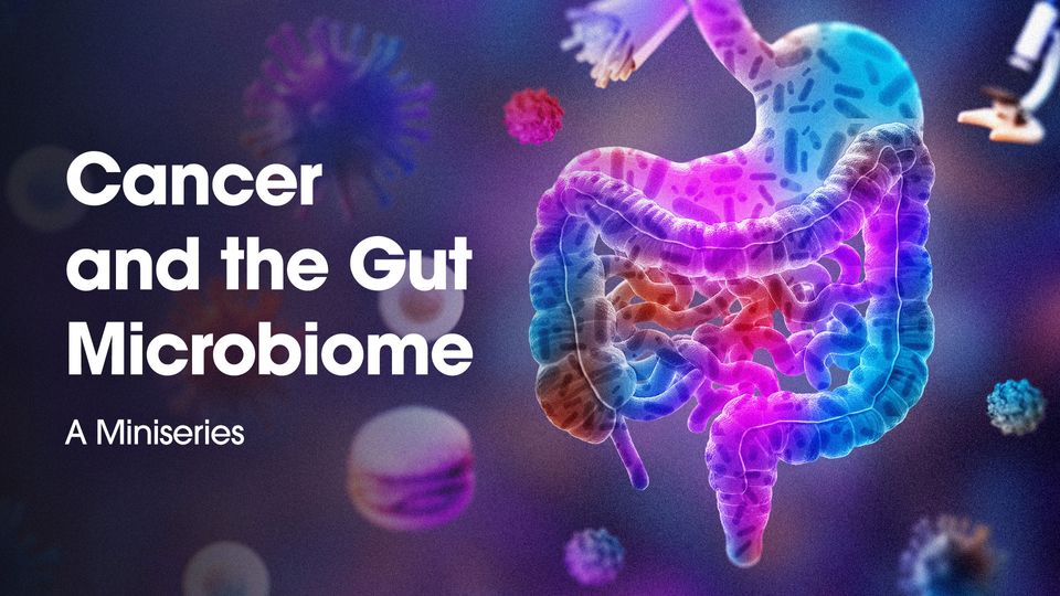 Gut Microbiome Dysbiosis’s Role in Cancer | Technology Networks
