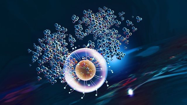 Improve TDM Accuracy With LC-MS in Clinical Labs | Technology Networks