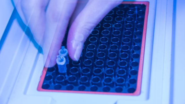 Rapid Virus Detection Using Enhanced Bioluminescence Sensor ...